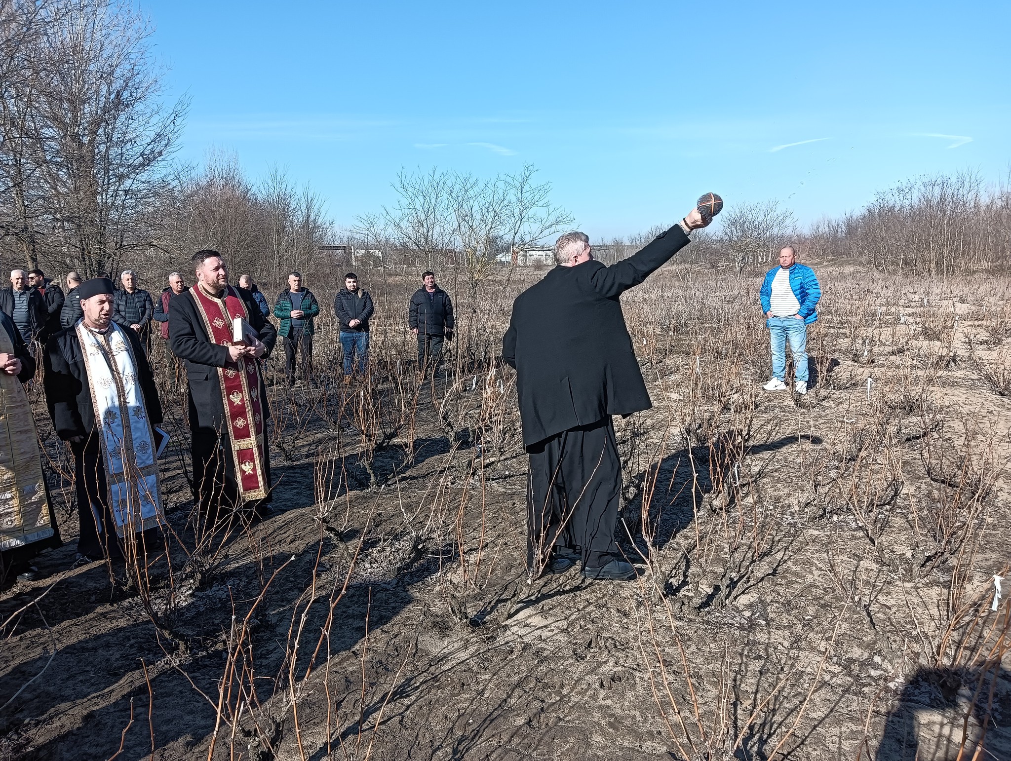 Trifonul Viilor la Golești: Ritualuri vechi și concurs de vin